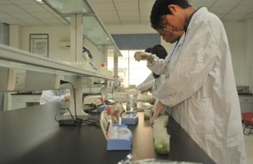 China Shenzhen Wofly Technology Co., Ltd. latest company news about ... China Shenzhen Wofly Technology Co., Ltd. latest company news about ...