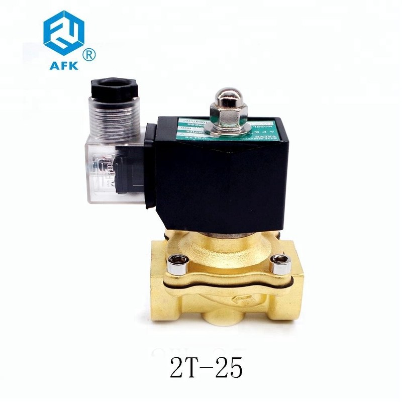 Brass Lpg Shut Off Solenoid , 1 Inch Lp Gas Control Valve For Natural Gas
