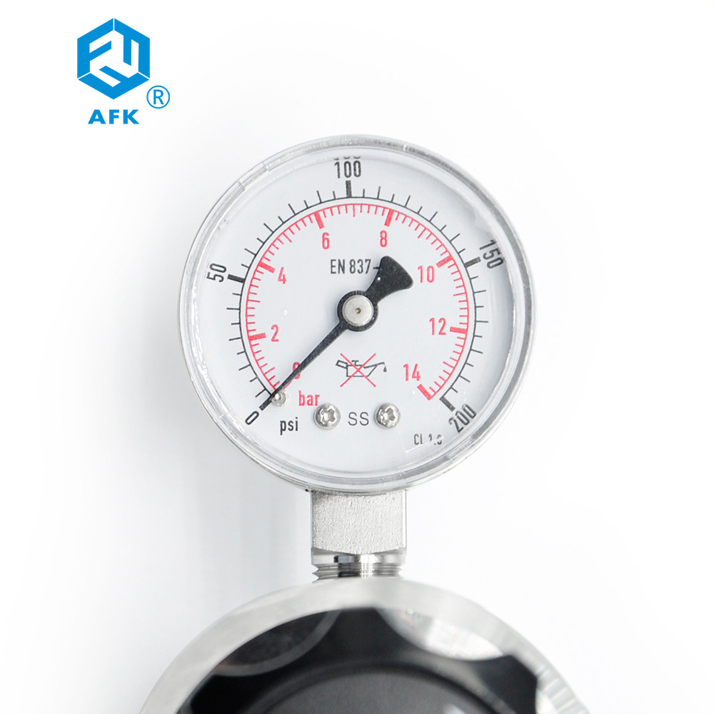 CO2 Gas Pressure Regulator Single Gauge Single Stage 316 Stainless ...