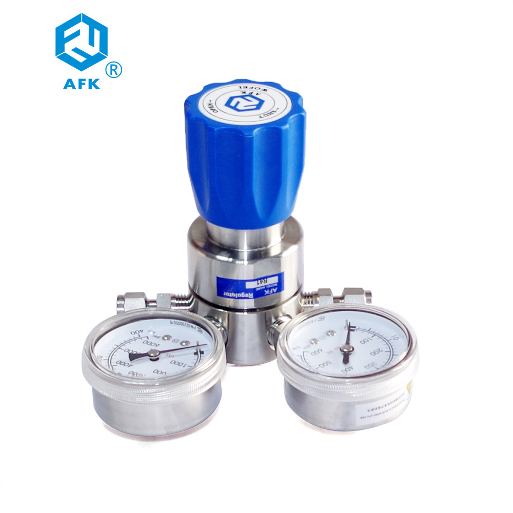 Ammonia Gas Stainless Steel Pressure Regulator With Plunger Valve Core 316L