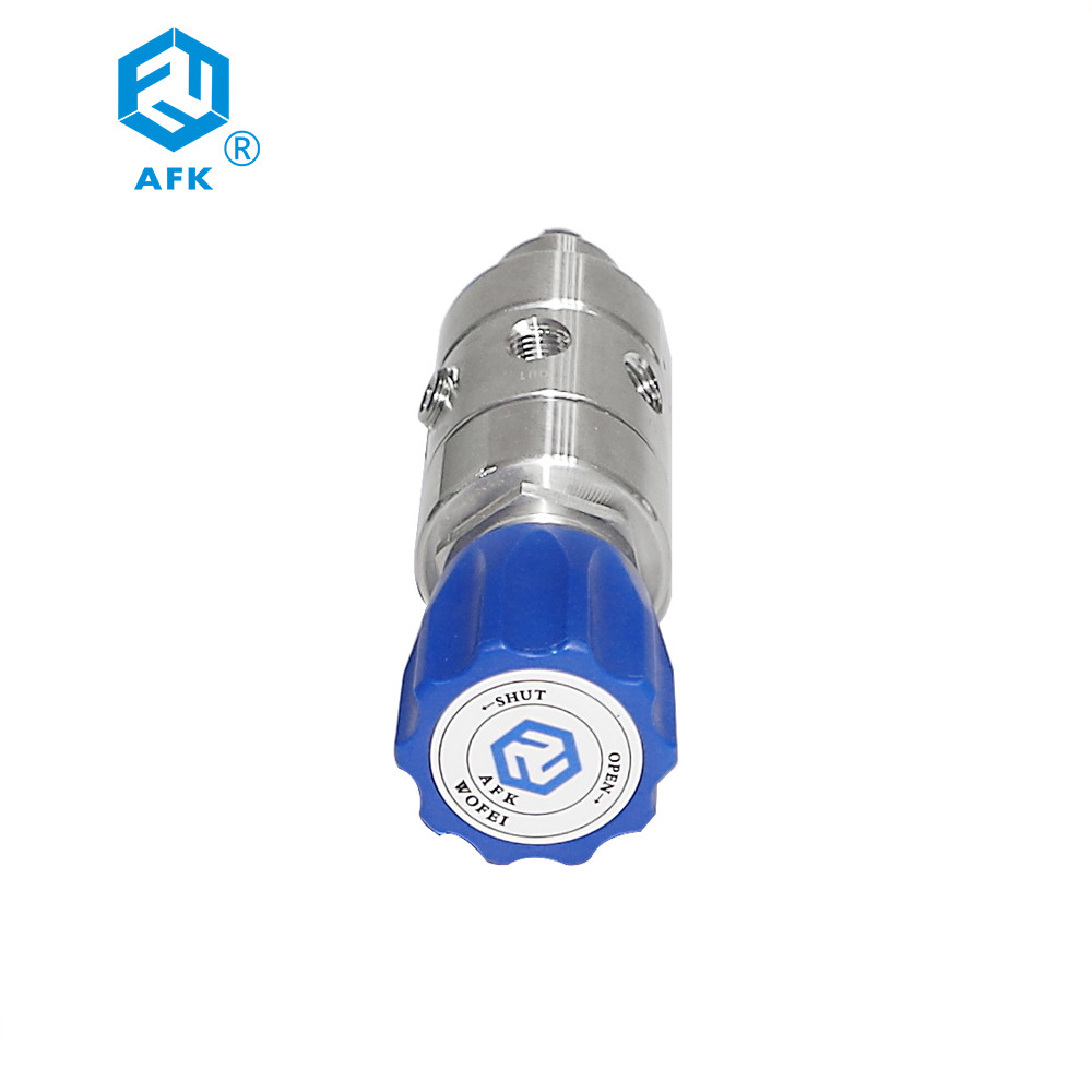 Double Stage Stainless Steel Pressure Regulator 1/4" NPT Inlet 3000 Psi ...