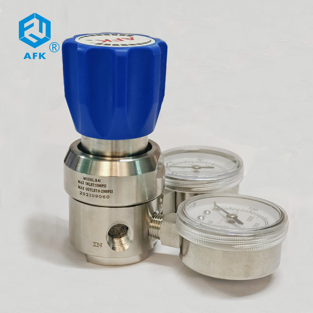 CE 6000PSI Double Gauge Pressure Regulator AFK R41 NPT SS