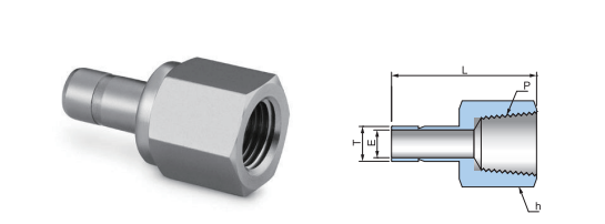 Weld Couplings Reducing Adapter G Threads 316 Stainless Steel Pipe Fittings